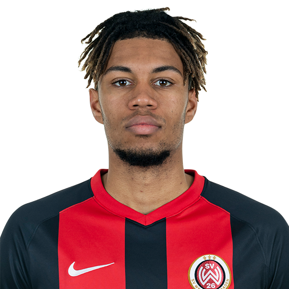 null | Virtual Bundesliga