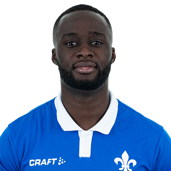 null | Virtual Bundesliga