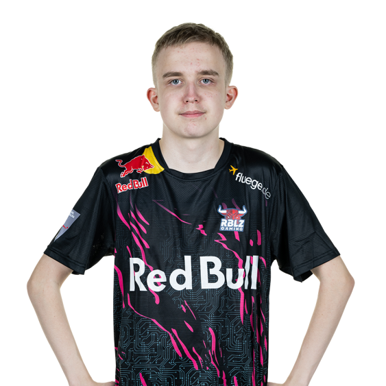 NikLugi | Virtual Bundesliga