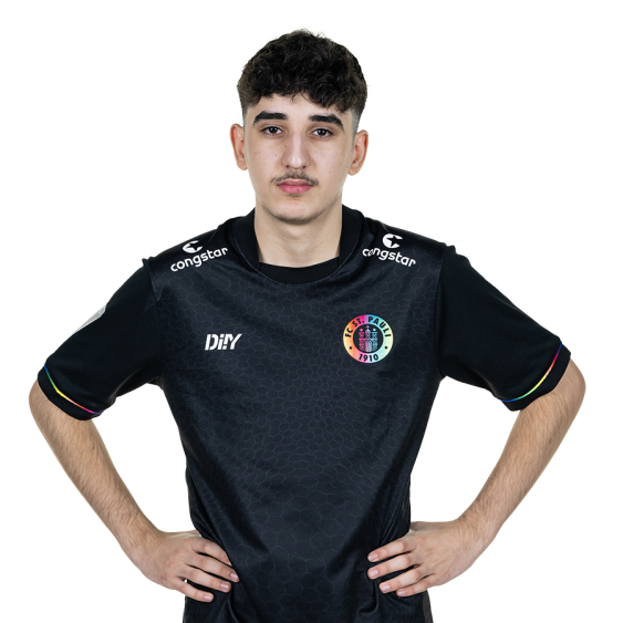 BerkayLion | Virtual Bundesliga