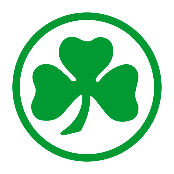 Virtual Bundesliga - German Championship 2024/2025