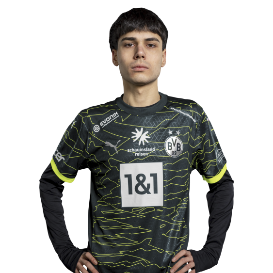 BVB_Virgil | Virtual Bundesliga